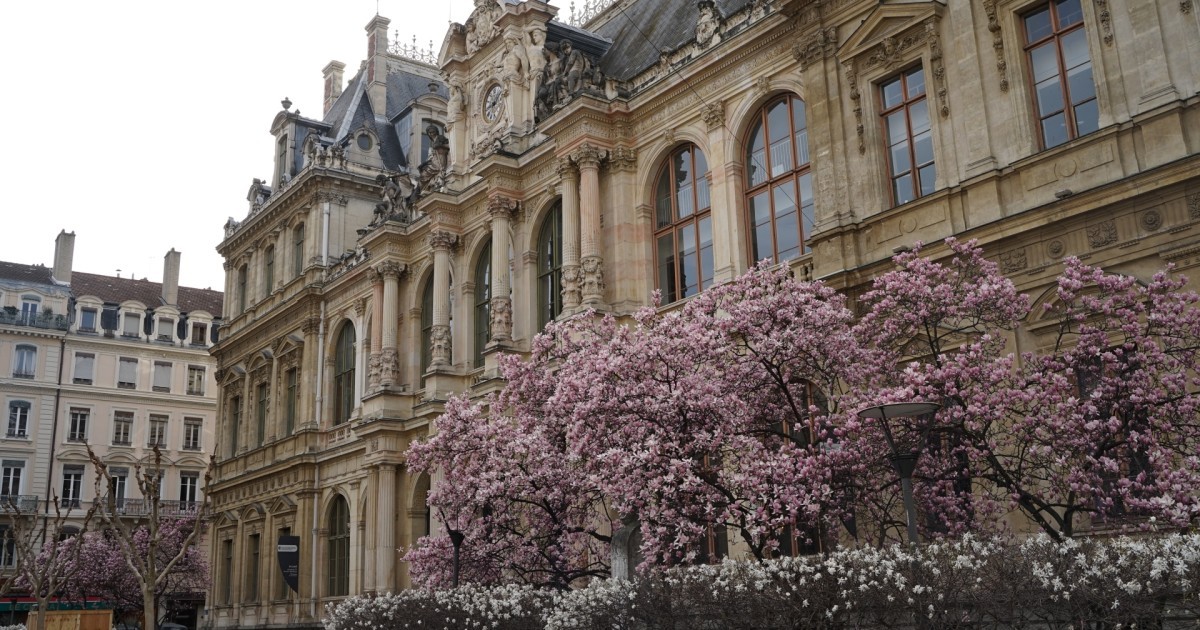 Lyon et son attractivité pour les entreprises | ONLYLYON