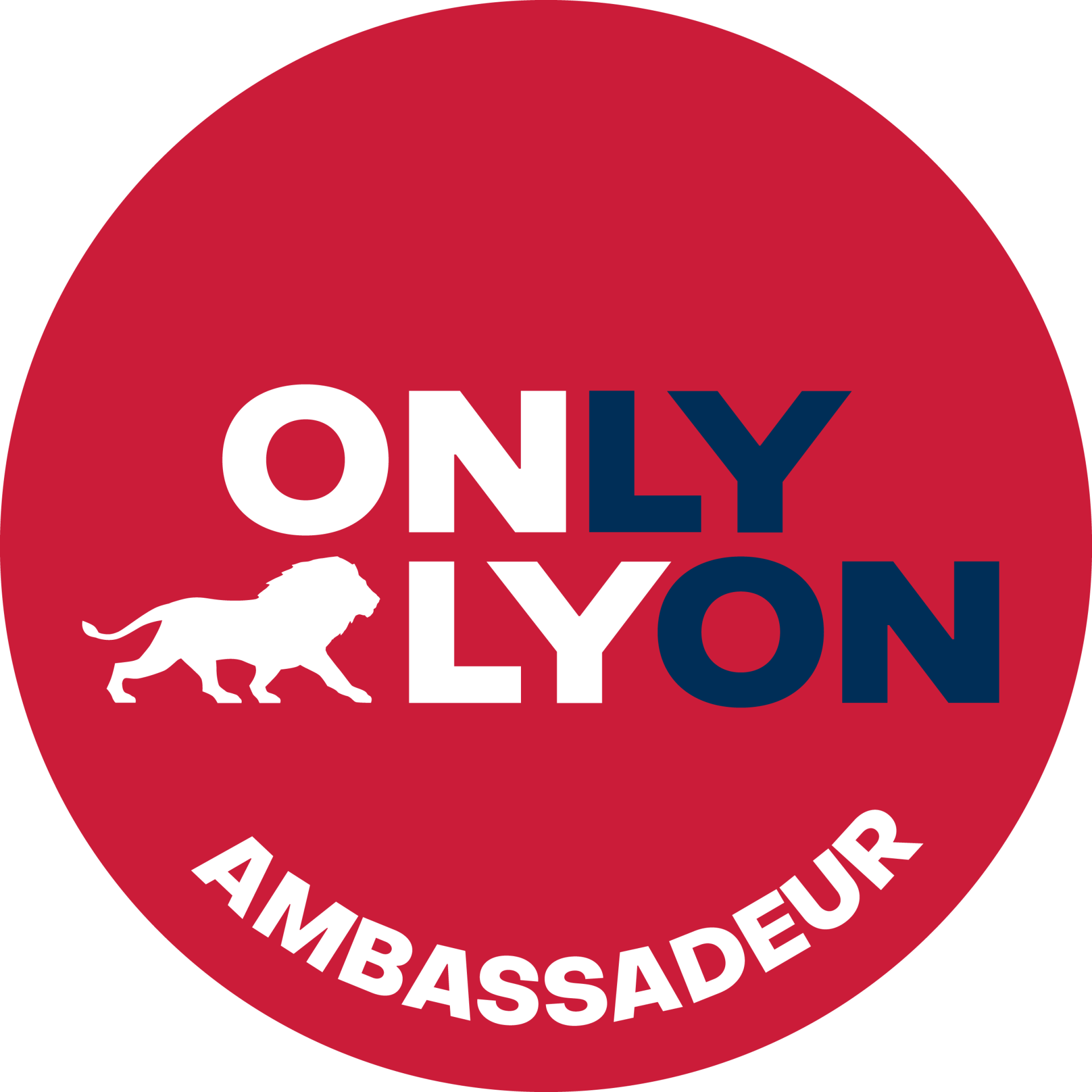 Kit de communication – ONLYLYON Kit de communication – ONLYLYON